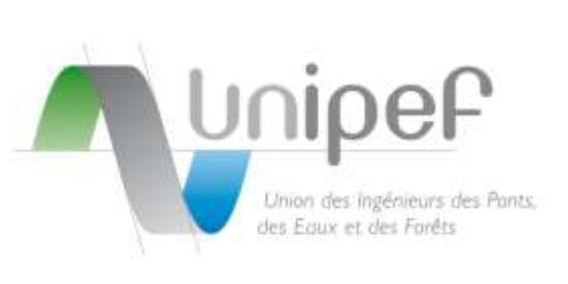 INFO RESEAU IPEF - Europe, international : réussir son parcours ...